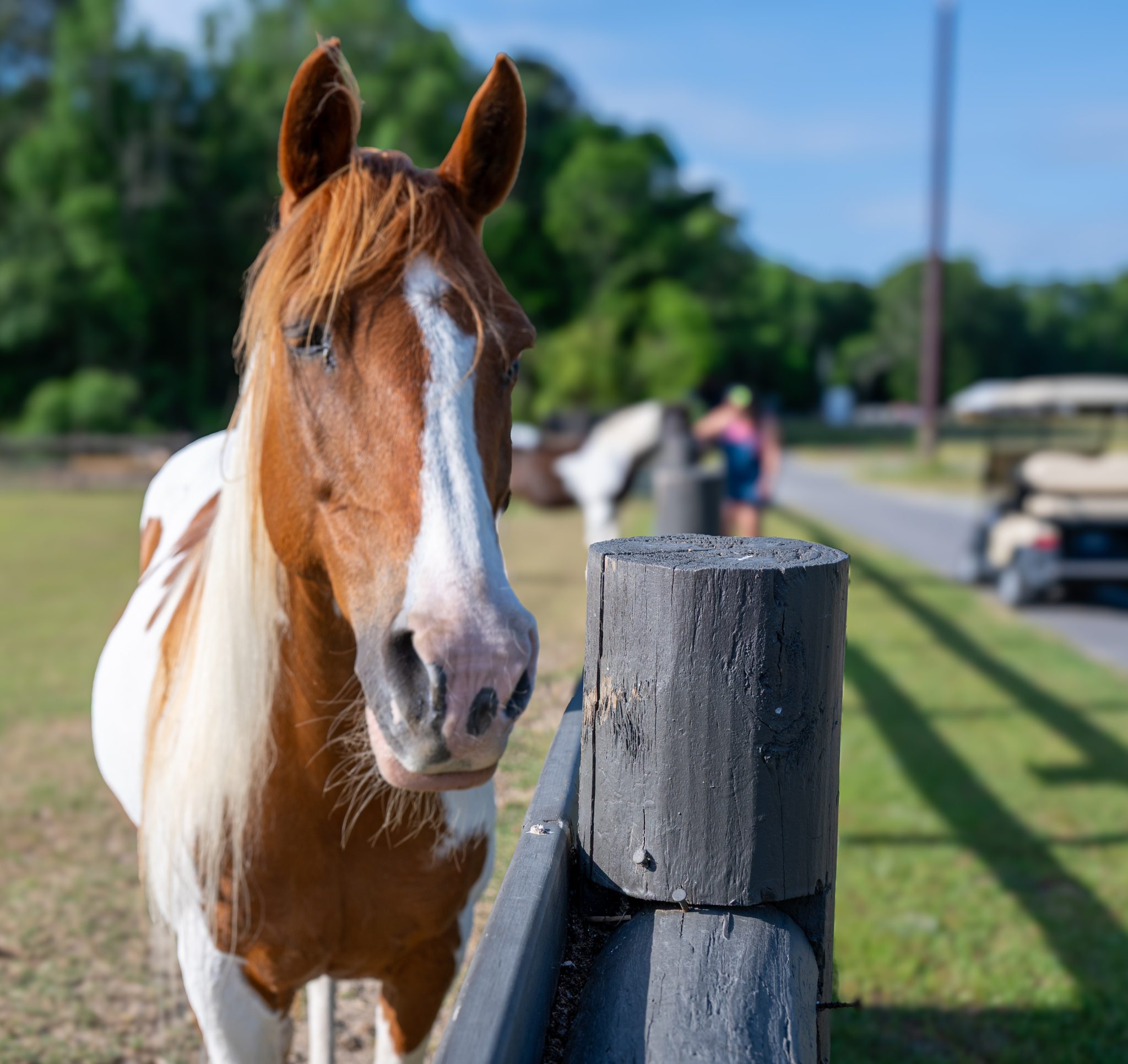 Experience Life on a Farm by staying at Sweet Valley Ranch