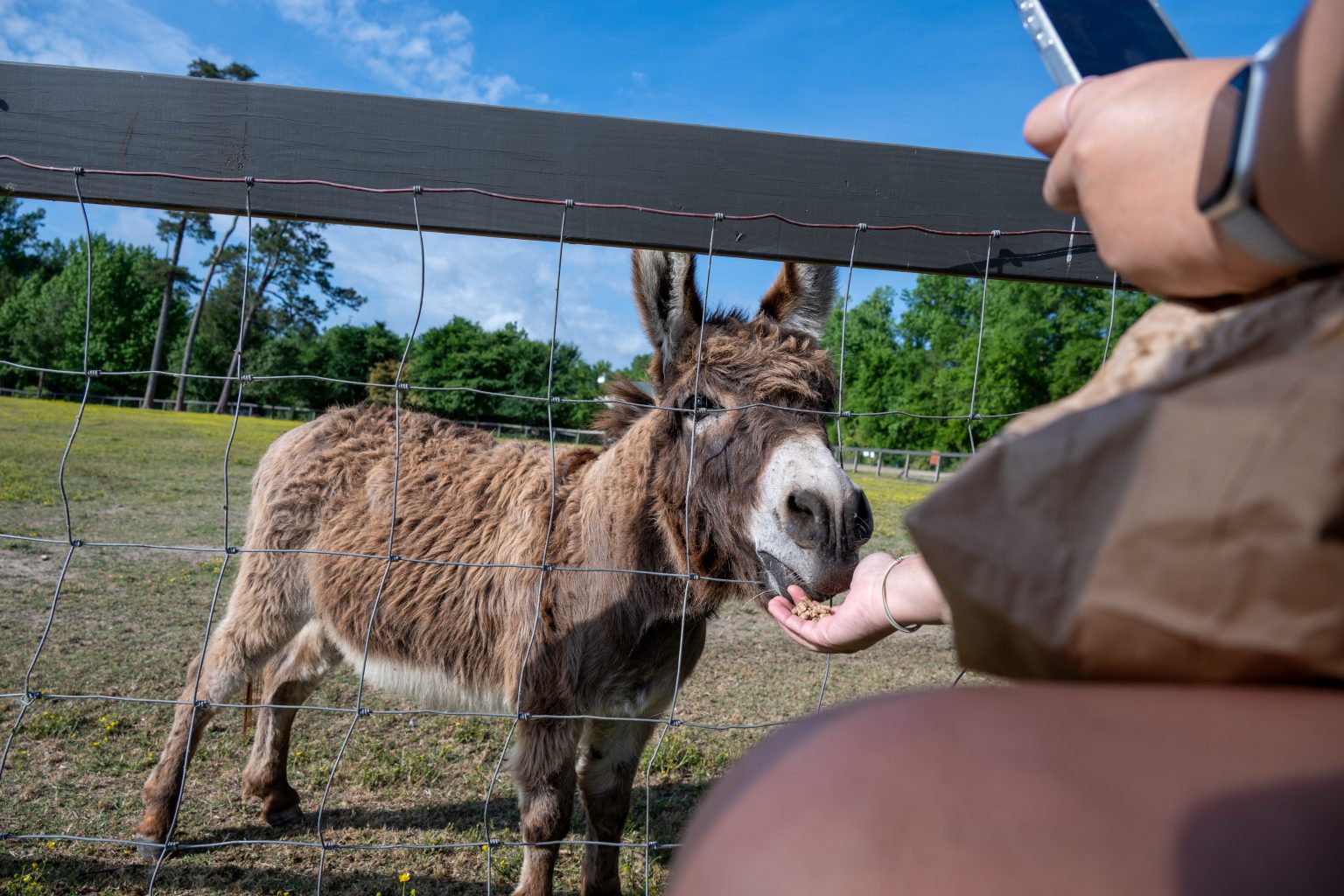 Experience Life on a Farm by staying at Sweet Valley Ranch