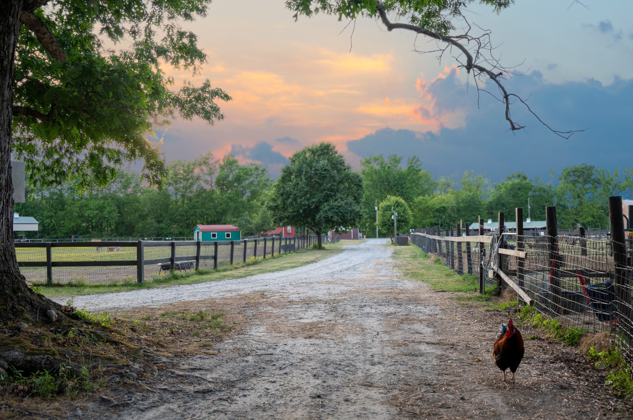 Experience Life on a Farm by staying at Sweet Valley Ranch