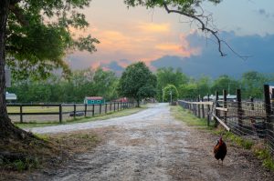 Experience Life on a Farm by staying at Sweet Valley Ranch