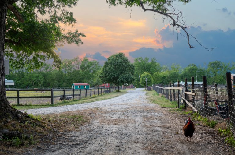 Experience Life on a Farm by staying at Sweet Valley Ranch
